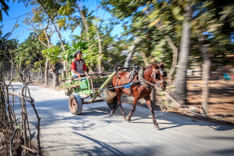 Cidomo in Gili-Inseln redaktionelles bild. Bild von indisch - 59466130