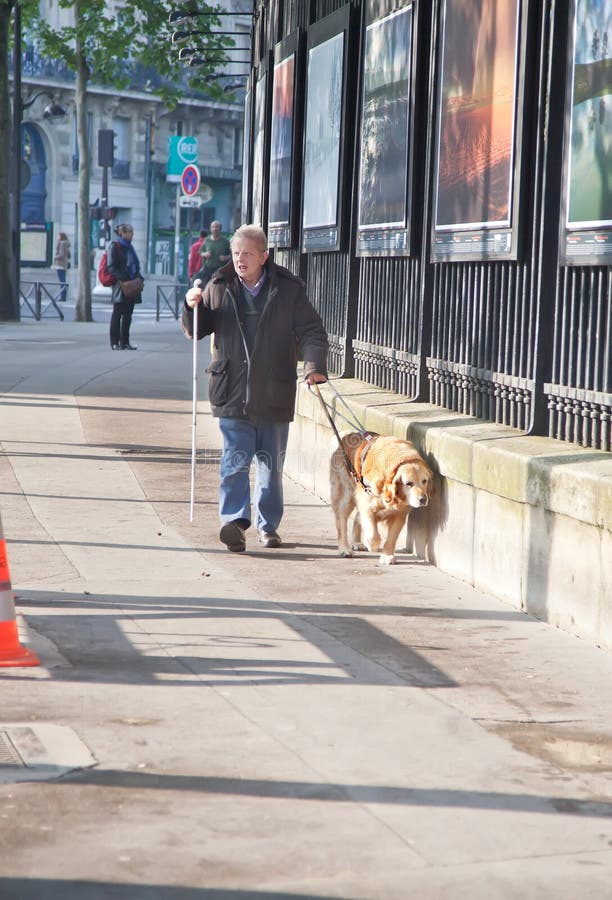 Uomo Cieco Con Il Cane Guida Che Si Siede Nel Cinema Fotografia ...