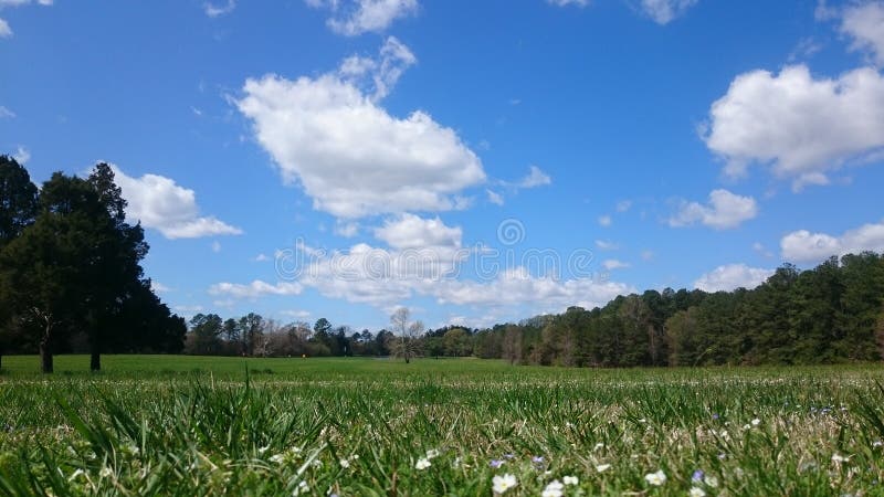 Ciel ouvert image stock. Image du petersbourg, nationale - 114230807