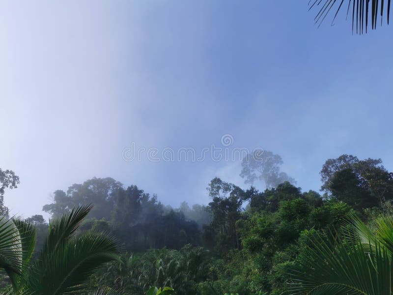 Cielo Azul Con Nubes De Selva Tropical Imagen de archivo - Imagen de ...