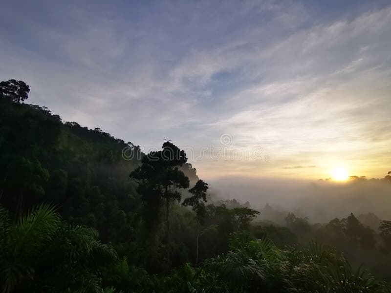 Cielo Azul Con Nubes De Selva Tropical Foto de archivo - Imagen de cubo ...