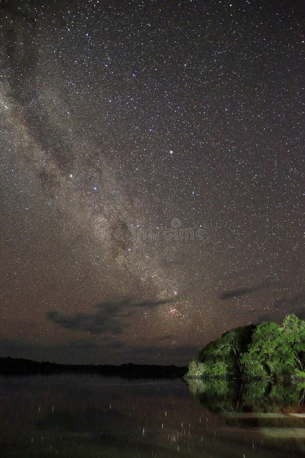 Cielo Nocturno Del Amazonas Foto de archivo - Imagen de yermo, manera ...