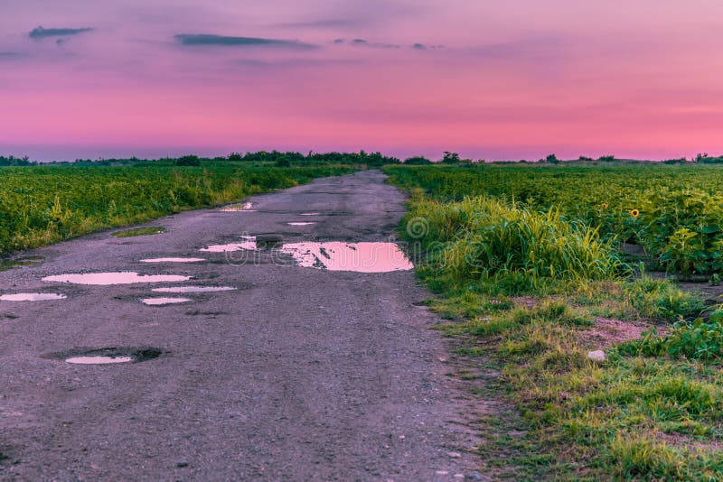 Cielo rosado imagen de archivo. Imagen de cosecha, horizonte - 74130833