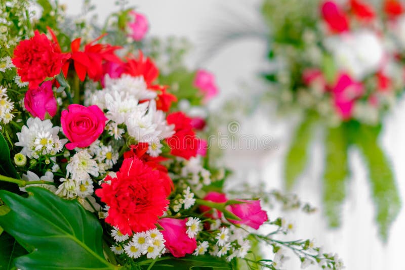 Cierre De Hermosas Flores De Luto Imagen de archivo - Imagen de rosa ...