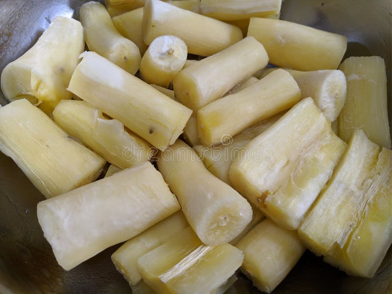 Cierre De La Planta De Yuca Cocida Imagen de archivo - Imagen de bocado ...