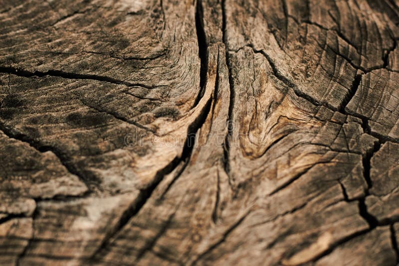 Cierre Del Fondo De Textura De Madera Rota Foto de archivo - Imagen de ...