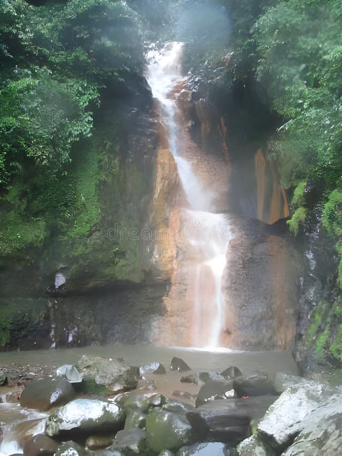 Cigamea Waterfall in the Forest Stock Photo - Image of jungle, forest ...