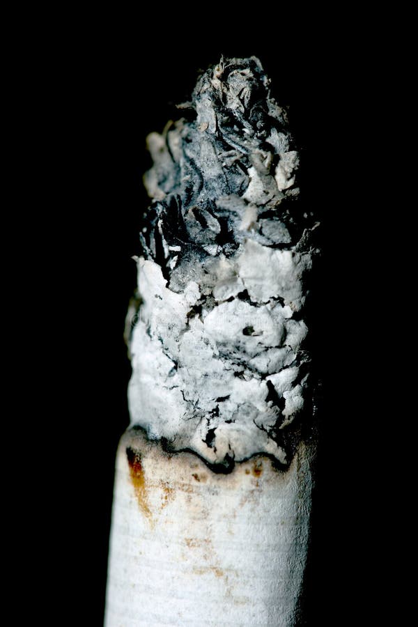 Burned-out cigar stock photo. Image of nicotine, lung - 2883860
