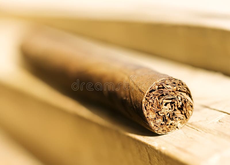 Cigar stock image. Image of brown, relaxation, cuban, prestige - 8593585