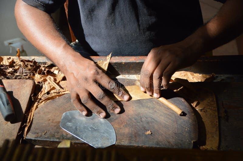 Cigar Factory Worker stock image. Image of hand, manufacture - 99372383