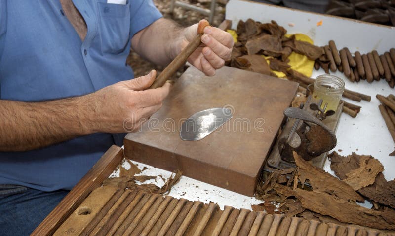 Cigar Making Royalty Free Stock Images - Image: 3560809