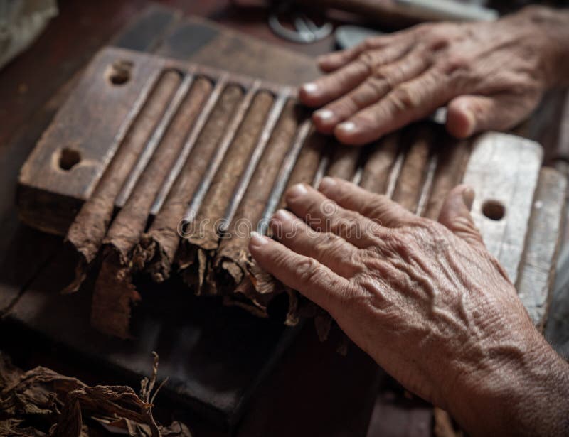 Cigar Rolling or Making by Torcedor in Cuba Stock Image - Image of ...