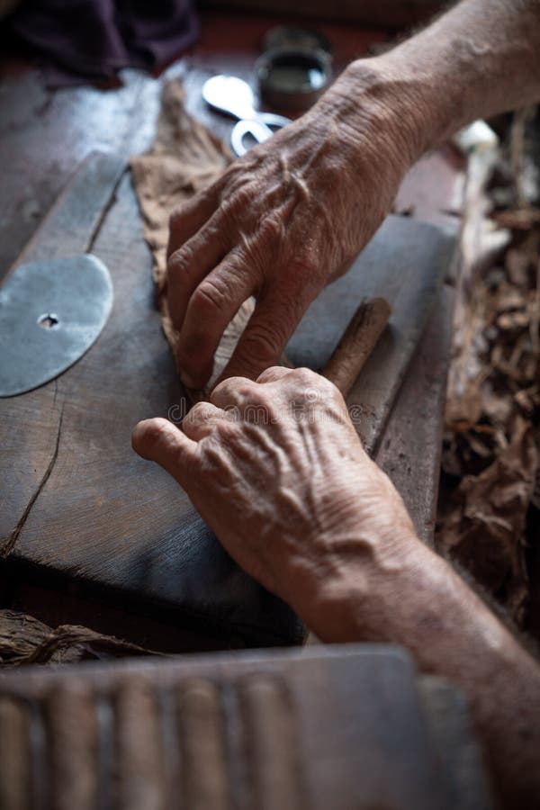 Cigar Rolling or Making by Torcedor in Cuba Stock Image - Image of ...