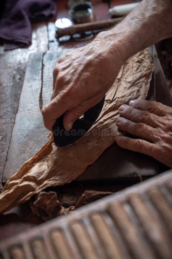 A Cigar Rolling Machine Inside a Cigar Factory. Traditional Manufacture ...