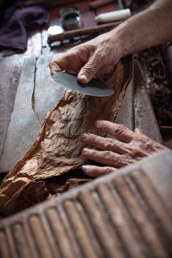 A Cigar Rolling Machine Inside a Cigar Factory. Traditional Manufacture ...