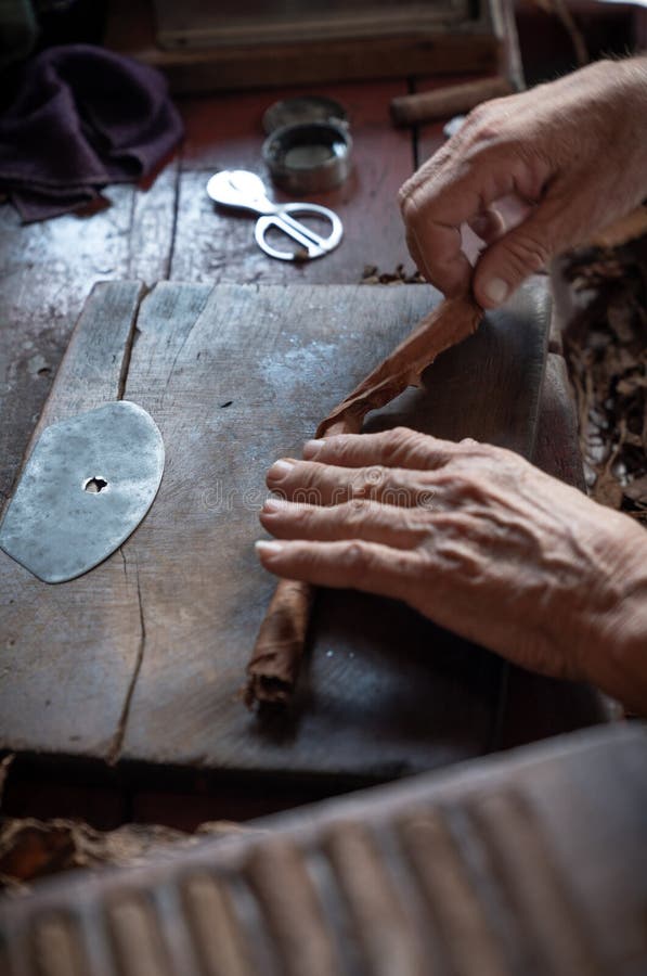 Cigar Rolling or Making by Torcedor in Cuba Stock Photo - Image of ...