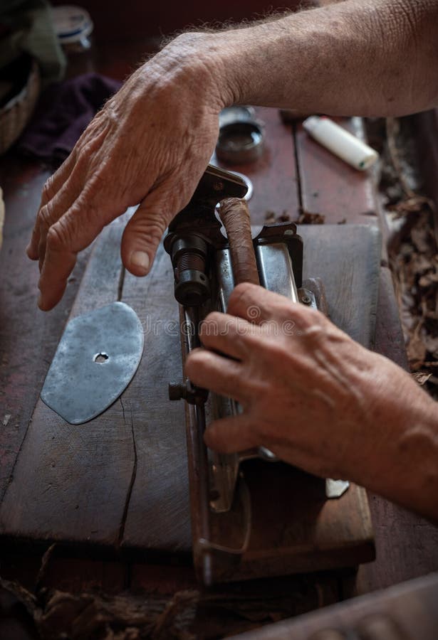 Cigar Rolling or Making by Torcedor in Cuba Stock Image - Image of ...