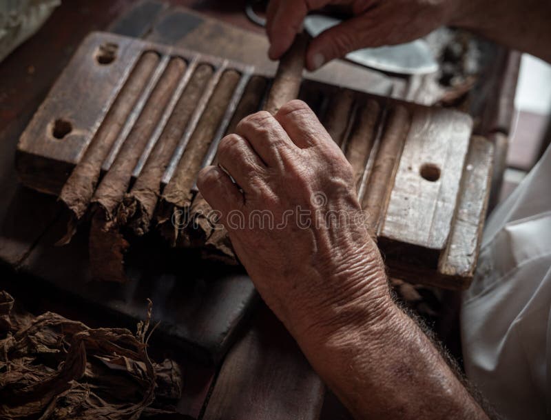 Cigar Rolling or Making by Torcedor in Cuba Stock Image - Image of ...