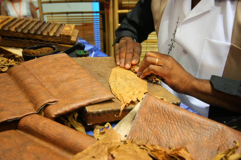 Cigar rolling stock photo. Image of making, havana, industry - 61468028
