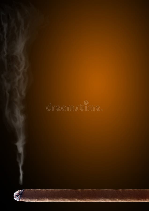Cigar smoking stock photo. Image of unhealthy, cigar - 12836356