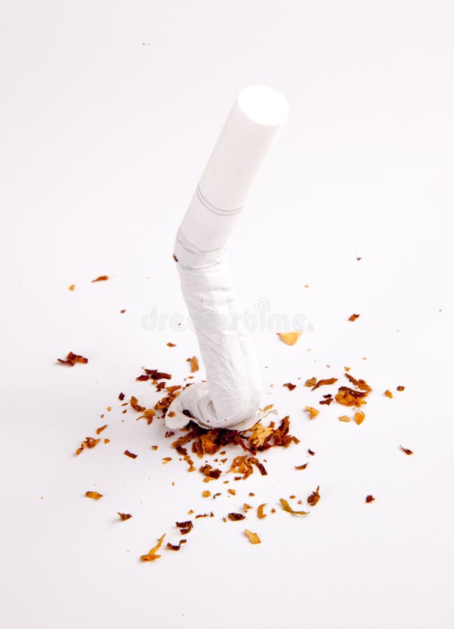 Single Cigarette with Filter Stock Photo - Image of healthcare, coffin ...