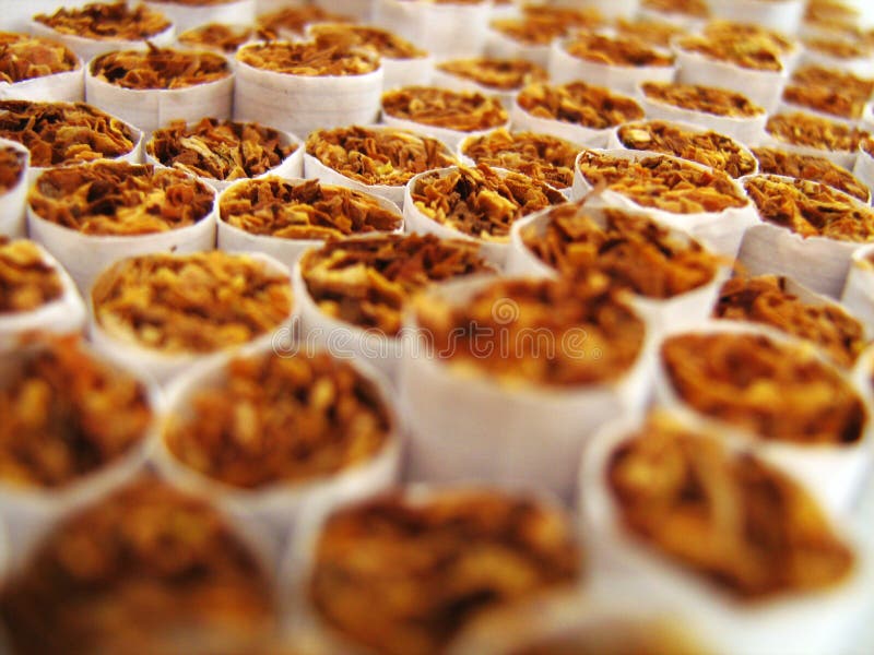 Cigarette stock image. Image of eating, addictions, human - 4321777