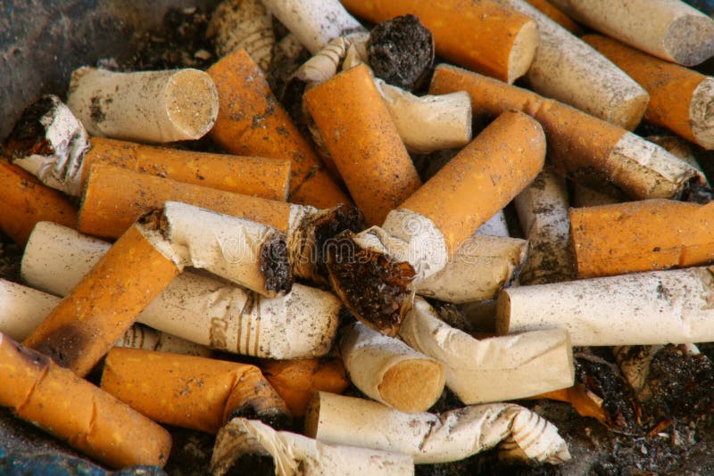 Cigarette butts stock photo. Image of curve, light, cigar - 1444398