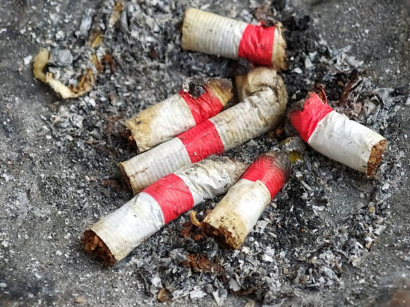 Cigarette Butts in the Ashtray Inside the House Stock Image - Image of ...