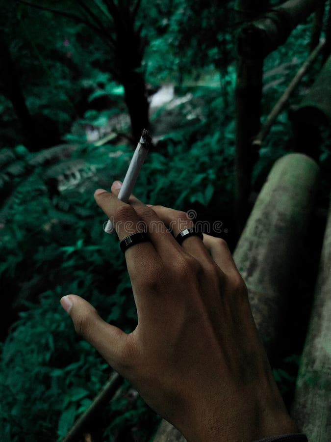 Cigarette stock image. Image of tree, ring, cigarette - 274610943