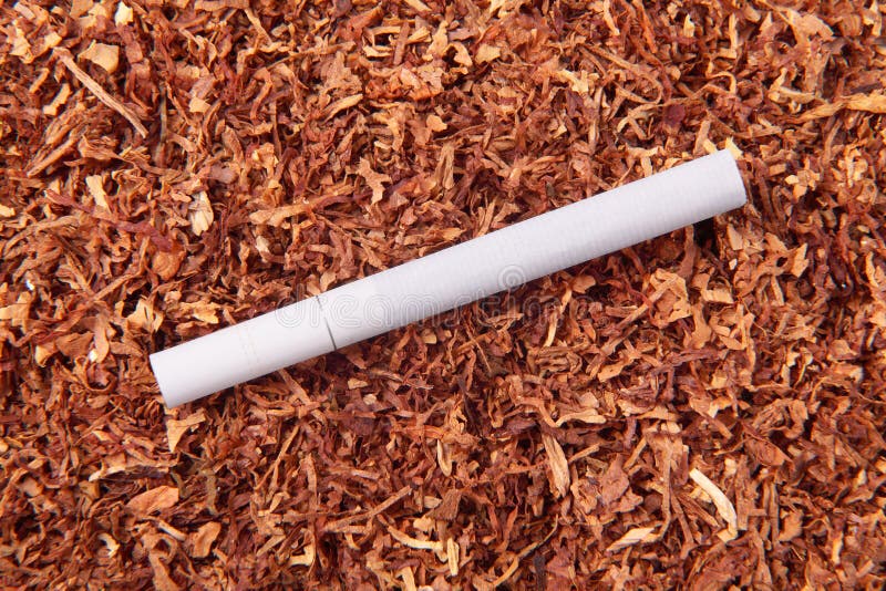 Cigarette Filter Texture