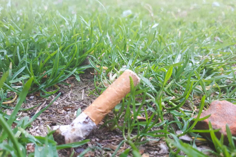Cigarette on the grass stock image. Image of environment - 146413737