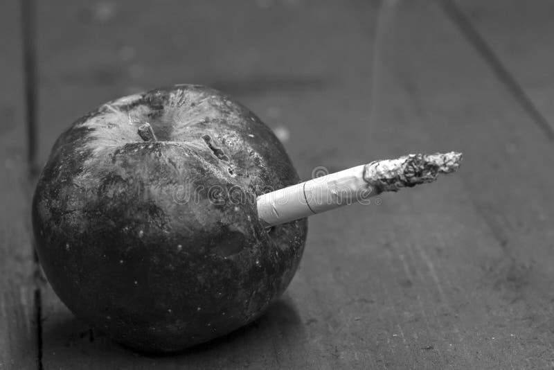 Cigarette Inserted in a Dried Apple, the Concept of Harm of Smoking ...