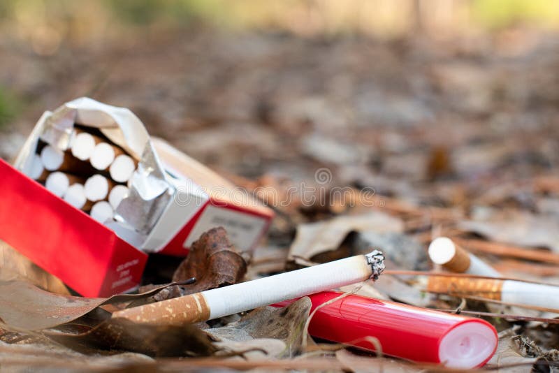 Lighted cigarette stock photo. Image of tobacco, objects - 17968750