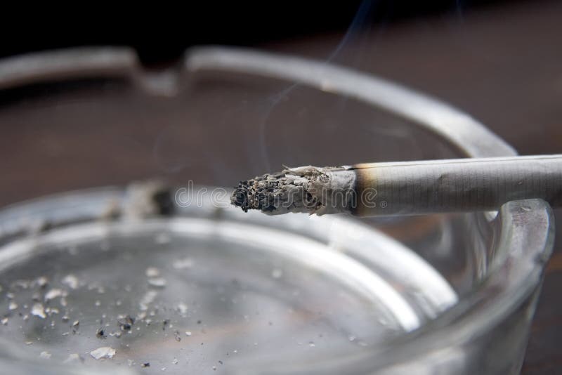 Cigarette macro stock photo. Image of addict, poisonous - 10439958