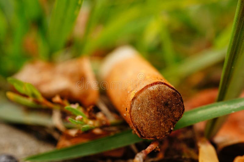 Cigarette piece stock photo. Image of waste, used, cigarette - 45431636