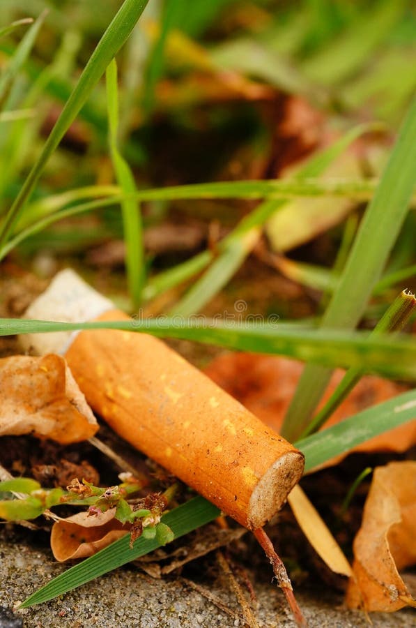 Cigarette piece stock image. Image of used, cigarette - 45431639