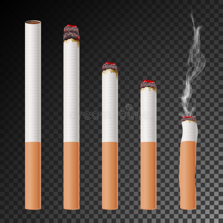Cigarette Set Vector. Realistic Cigarette Butt. Different Stages of ...