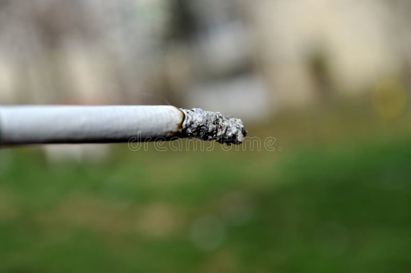 Cigarette stock photo. Image of danger, cigarette, addiction - 38879610