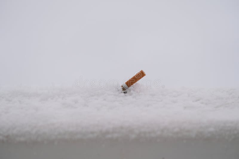 Cigarette in the snow stock image. Image of tabacco - 373275047