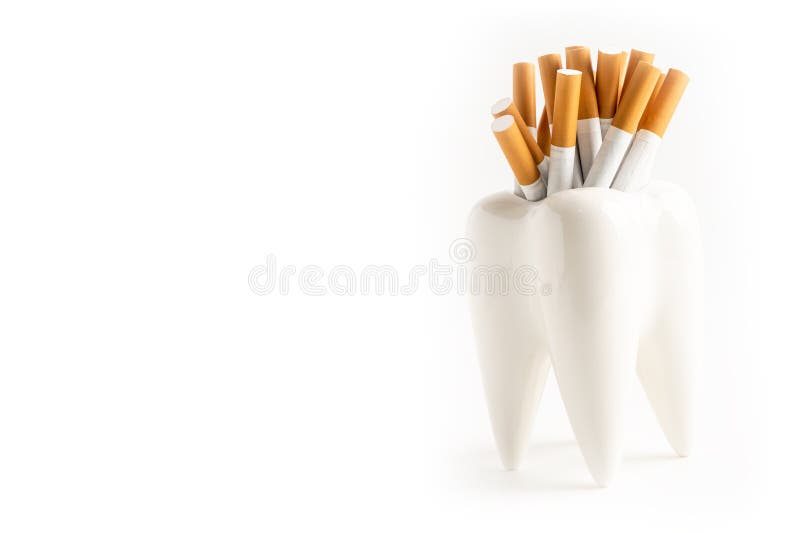 Cigarette in Teeth Model Isolated on White Background with Copy Space ...