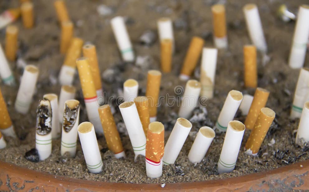 Cigarettes in in Rubbish Bin Stock Image - Image of dirty, product ...