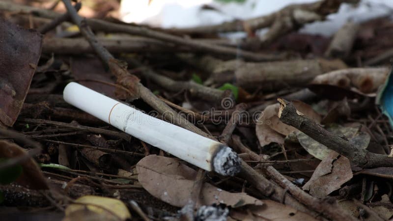 Cigarettes and fire stock video. Video of cigarettes - 218748287