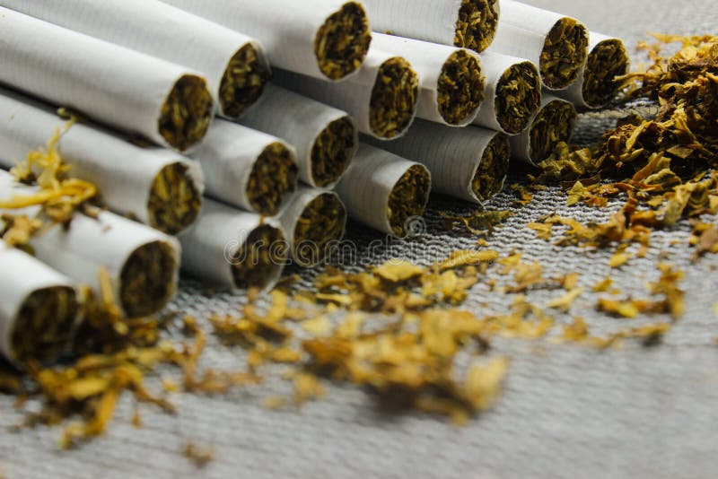 149 Tobacco Side View Stock Photos - Free & Royalty-Free Stock Photos ...