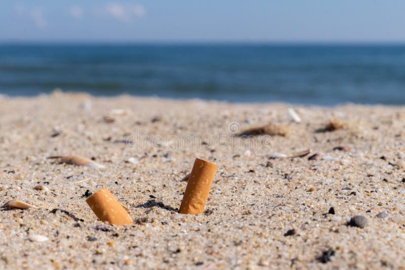 Cigarettes In The Sand Environmental Pollution And Nature Stock Image ...