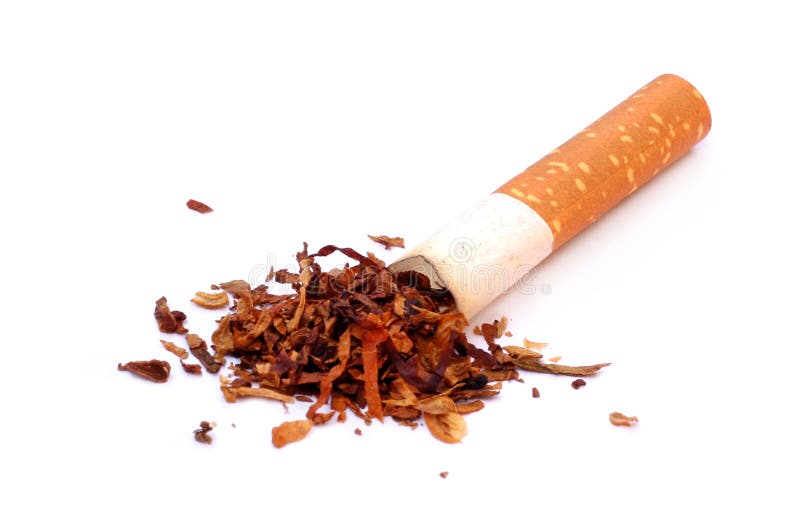 Cigarett med tobak på vit fotografering för bildbyråer. Bild av tobak ...