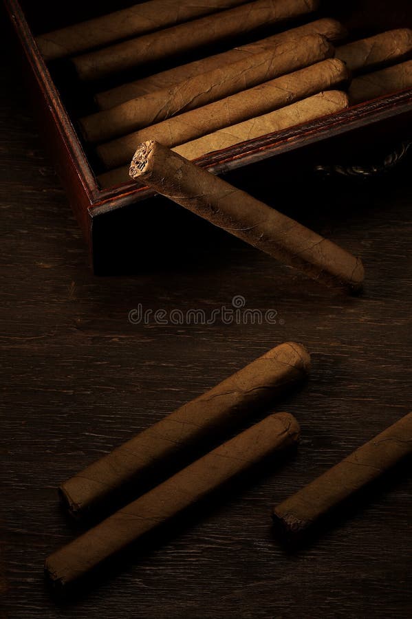Cigarillos in box stock photo. Image of dark, rest, relax - 1816994