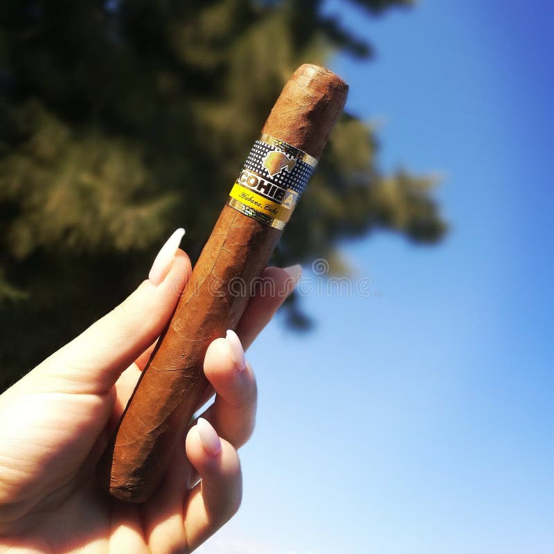Cigarr redaktionell fotografering för bildbyråer. Bild av natur - 126643089