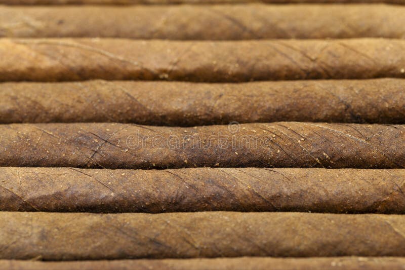 Cigarrer arkivfoto. Bild av snitt, cigarr, grupp, stapel - 54464688