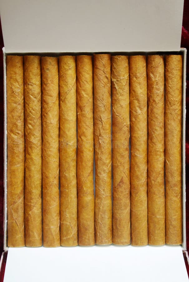 Cigarrilha foto de stock. Imagem de charuto, cigarro, fumo - 5545732