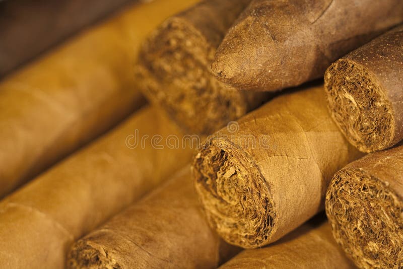 Cigars stock photo. Image of stack, smoking, close, cuban - 13126740